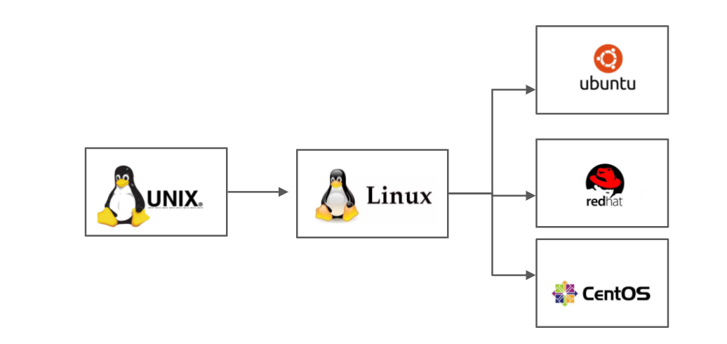 Linux修仙之路（筑基篇） - 《Linux操作系统笔记（泰山篇）》 - 极客文档