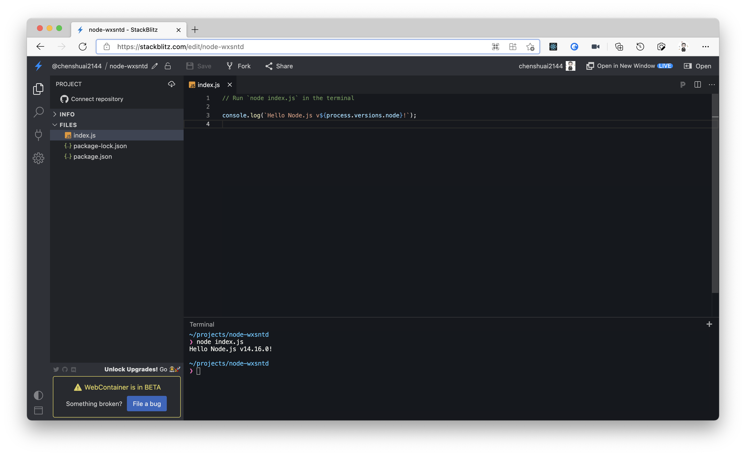 WebContainers Node js 