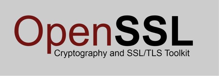 openssl手动编译安装 - 《centos7》 - 极客文档