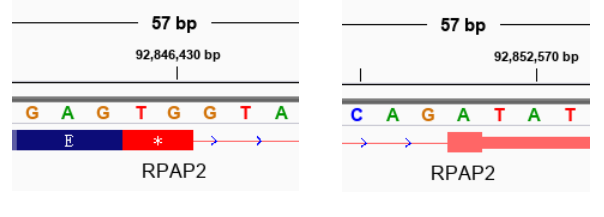 提取代表转录本之 gencode - 《R编程笔记》 - 极客文档